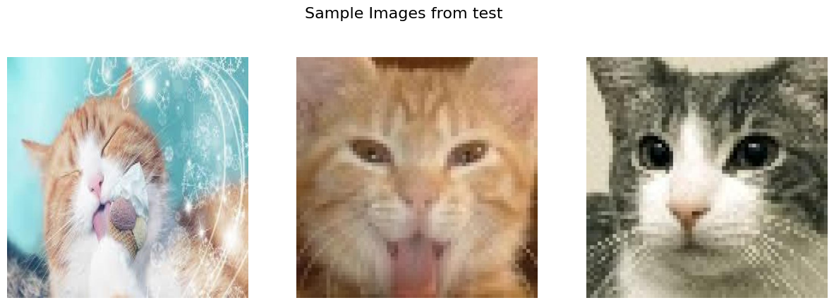Transfer Learning Classifier Using Pytorch Victor Flores Phd
