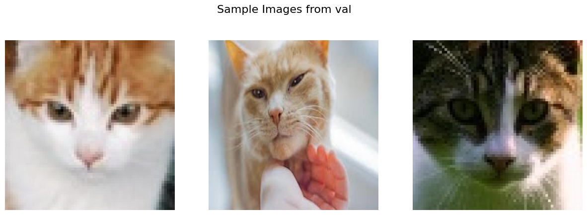 Transfer Learning Classifier Using Pytorch Victor Flores Phd